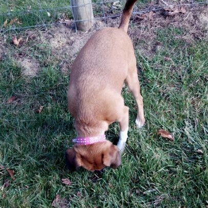 Photos at Creek Ridge County Park - 3 tips from 162 visitors