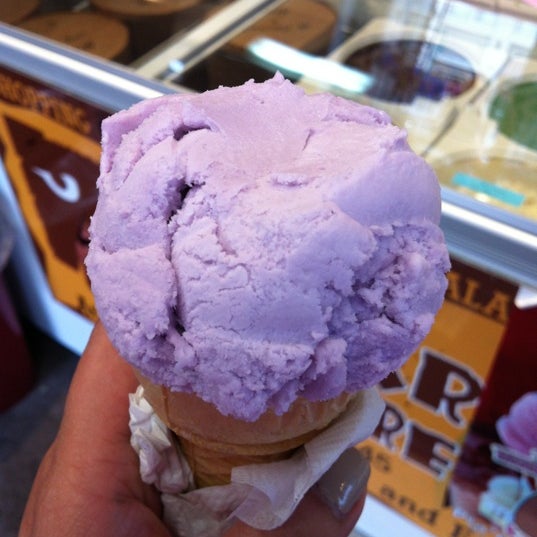 Bear-ly Enough Ice Cream - Downtown Anchorage - Anchorage, AK