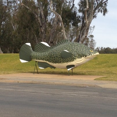The Big Murray Cod - Monument in Tocumwal