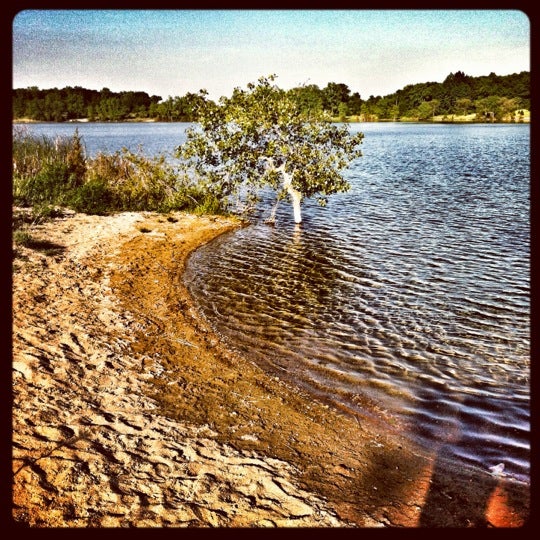 Trout Lake - Brighton, MI