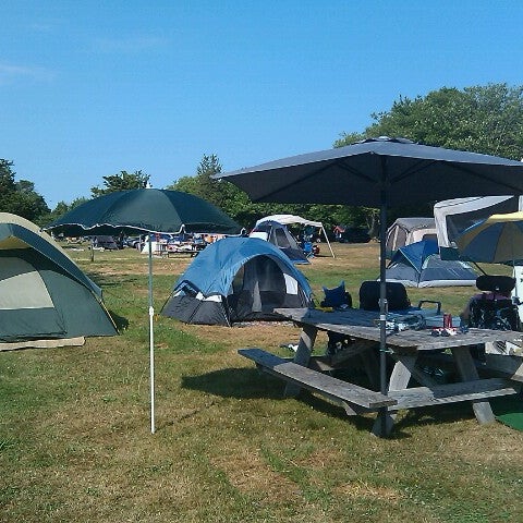 Are Dogs Allowed At Hammonasset Campground