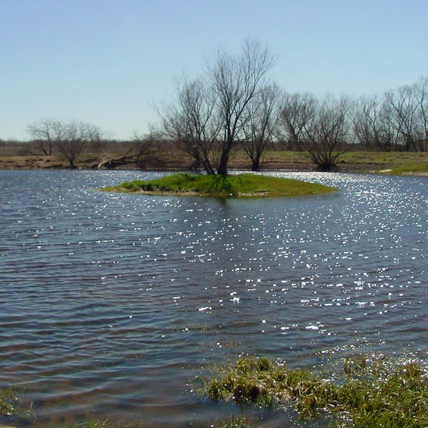Webb Community Park - Park in Southeast Arlington