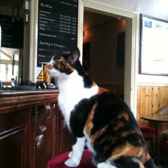 Ashburnham Arms - Pub in Greenwich