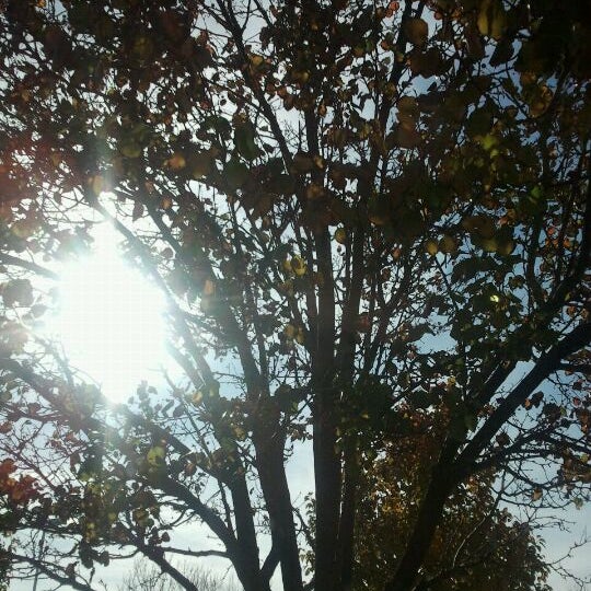 TCF Bank - Burr Ridge, IL