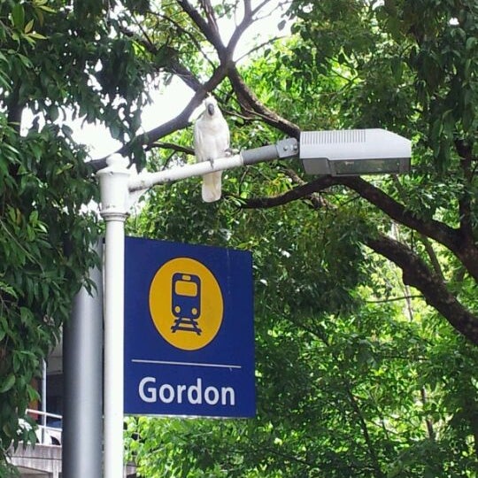 Gordon Station - Train Station in Gordon