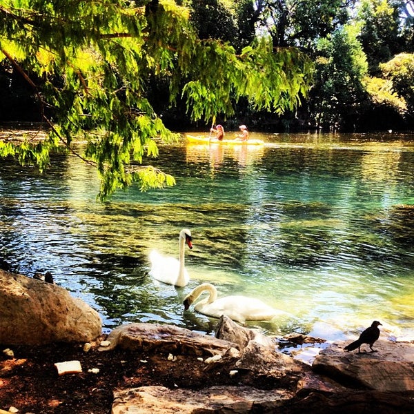 Photos at Barton Springs Pedestrian Bridge - Bridge in Zilker
