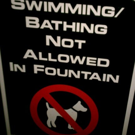 Photos at East Pointe Commons Dog Park - Dog Run in Lower East Side