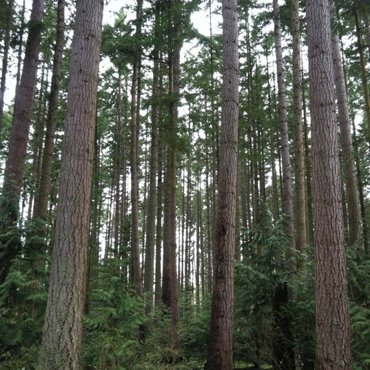 Proctor Neighborhood - Neighborhood in Tacoma