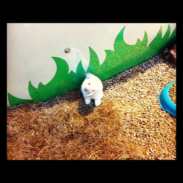 Ranzijn Tuin & Dier - Flower Shop in Centrum Almere-Buiten