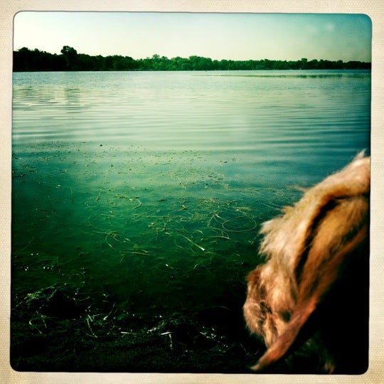 Photos at Mercer Beach - Beach in Walled Lake