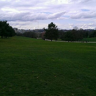 Schenley Park Golf Course - Golf Course