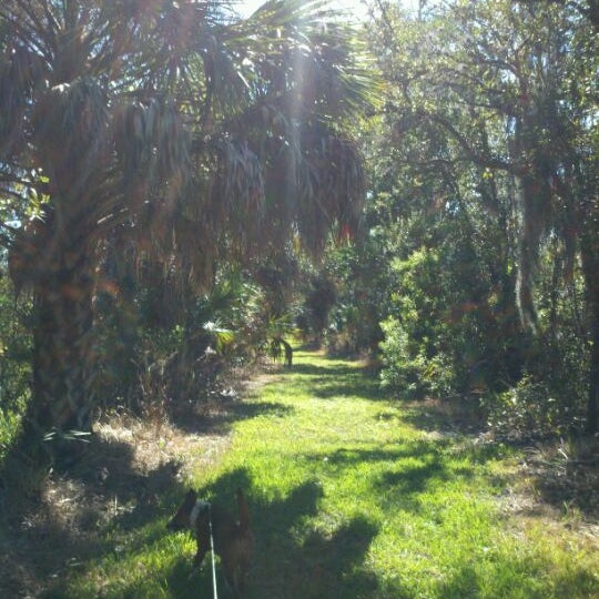 Pam Callahan Nature Preserve - 2 tips from 41 visitors