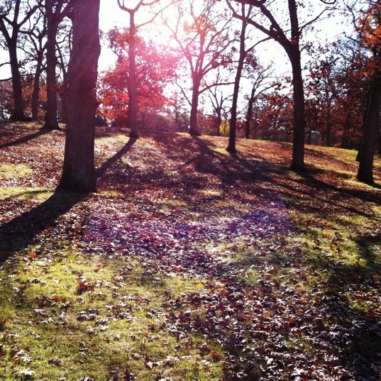 Rose Garden - Des Moines, IA