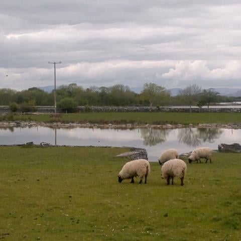 Lough Corrib - Lake in Oughterard