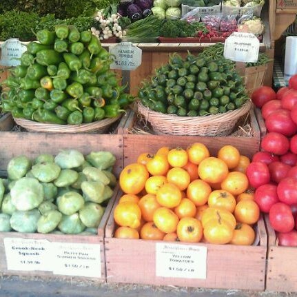 Avila Valley Barn - Farm