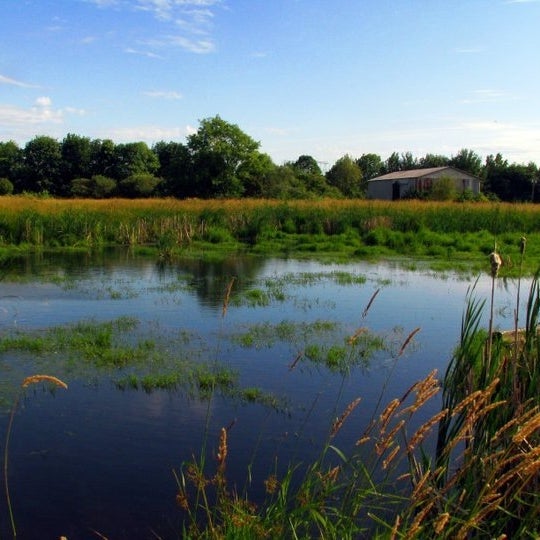 Photos at Serpentine Fen Bird Sanctuary - South Surrey - 1 tip from 92 ...
