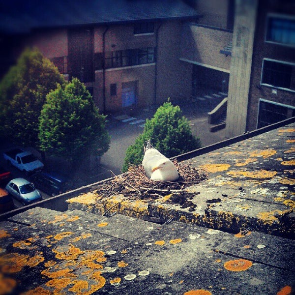 Photos at Cardiff University School of Engineering - College ...