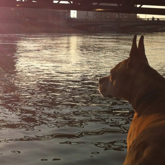 Photos at Elgin Riverwalk - Downtown Elgin - 7 tips from 278 visitors