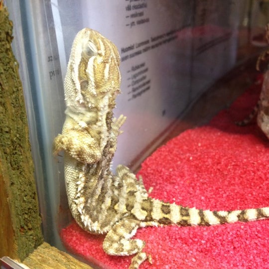 Faunatar - Pet Supplies Store in Vantaa