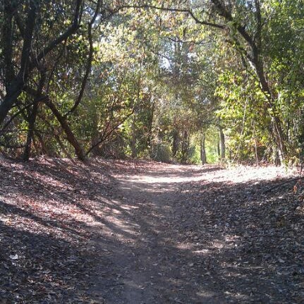 Meyer Park - Spring, TX