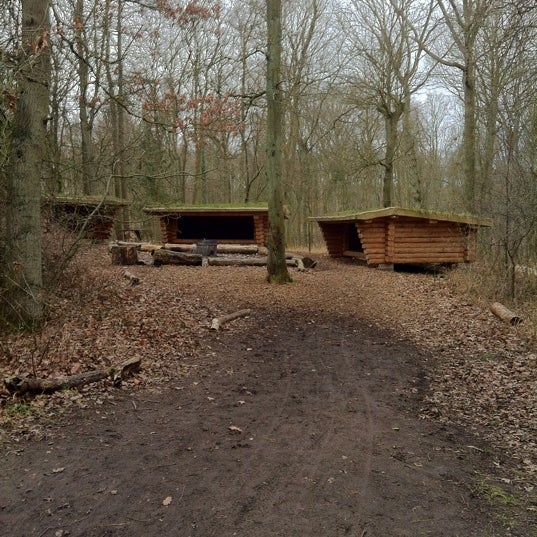 Fineshade Woods - 5 tips from 98 visitors