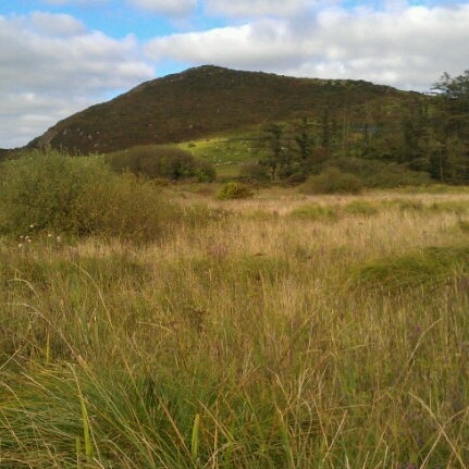 Fenor Bog - Ballyscanlon Rd.