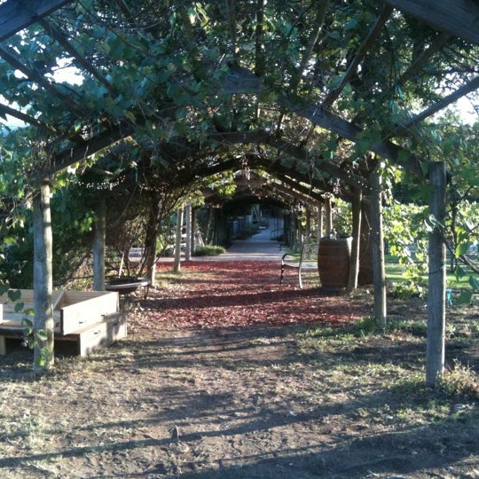 Photos at The Oak Valley Vineyards - 6 tips from 154 visitors