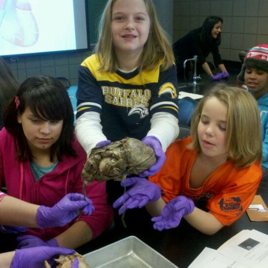 Biomedical Research Building - University - Buffalo, NY