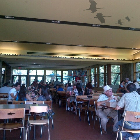 The Dancing Crane Cafe - Bronx Park - 2300 Southern Blvd