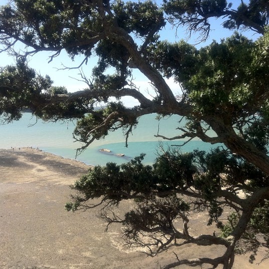 Musick Point - Bucklands Beach - 6 tips from 129 visitors