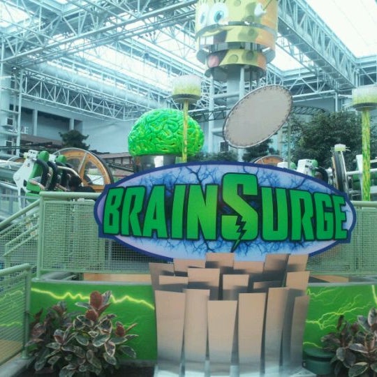 Brainsurge Attraction