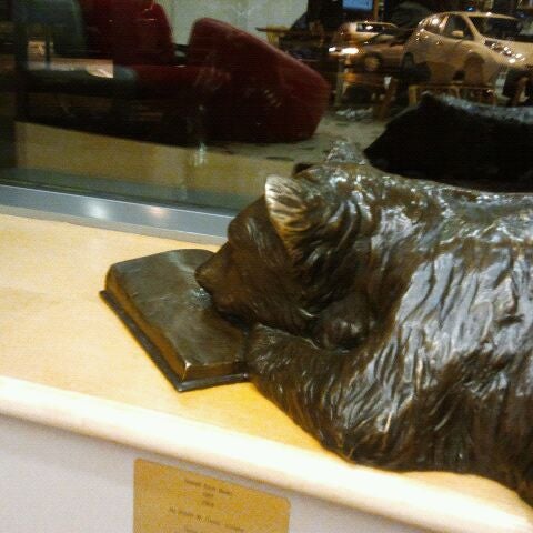 Photos at KCLS Bothell Library - 4 tips from 445 visitors