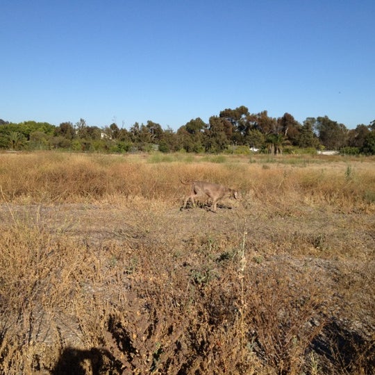 Photos at Morley Field - Balboa Park - 20 tips
