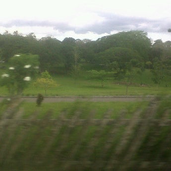 Photos at Palmiste Park - Park in Palmiste