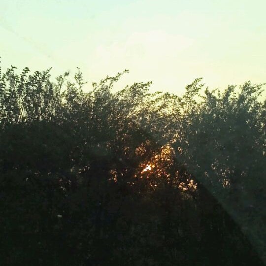 Photos at Reaves Park - Park in Norman