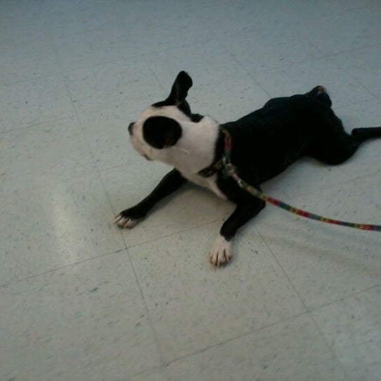 Stewart Animal Clinic - Veterinarian in Warrior