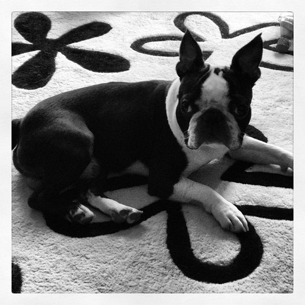 The Git Big Ugly Black Rock - Sculpture Garden