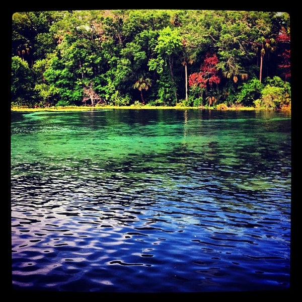 Alexander Springs - 10 tips from 322 visitors