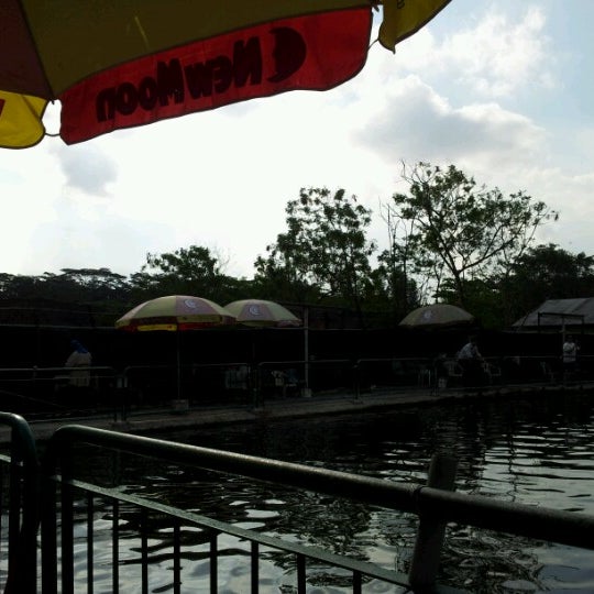 Punggol Fish Pond - Punggol - 3 tips