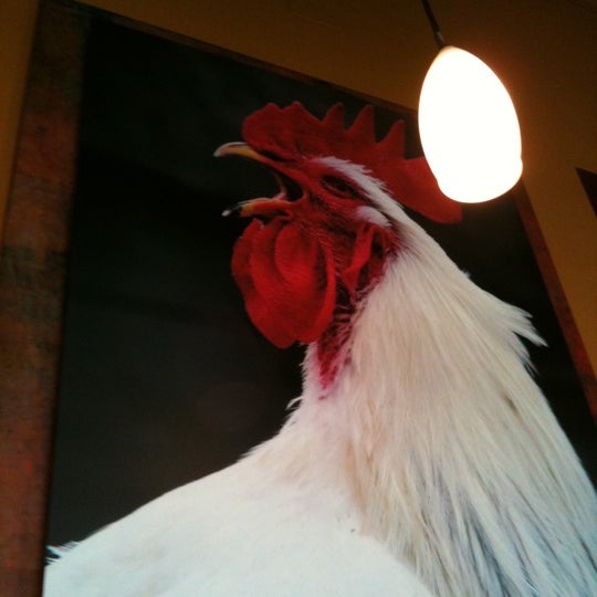 Photos at Twisted Rooster - American Restaurant in New Baltimore