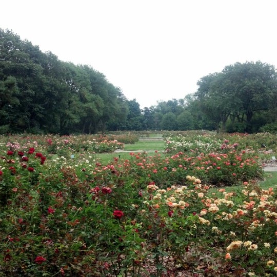 Photos at Whetstone Park of Roses - Park in Columbus