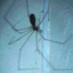 Photos at Stephen Epler Residence Hall (PSU) - Portland, OR