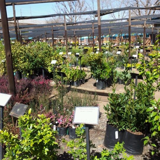 Plant Ranch - Centurion, IGauteng