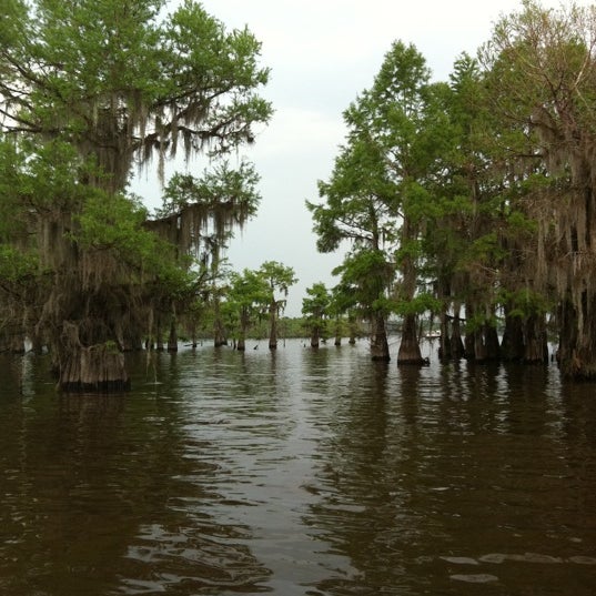 Lake Bistineau - Lake