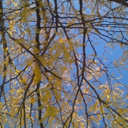 Photos at Crazy Mullets - 14 tips