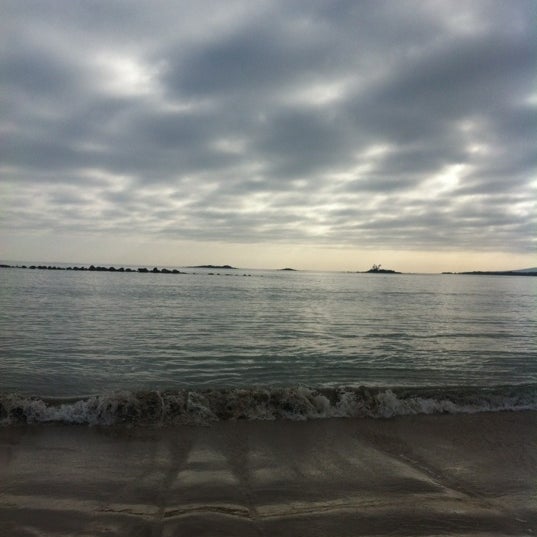 Shearwater Park - Park