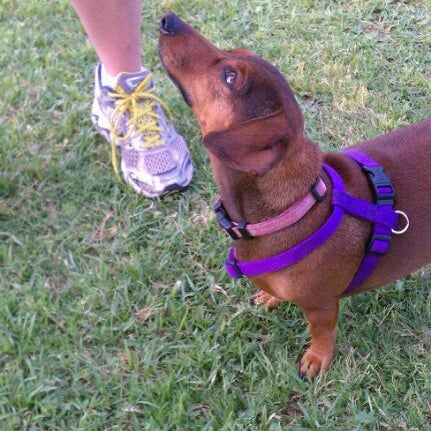 Photos at Pera Club - Tempe, AZ