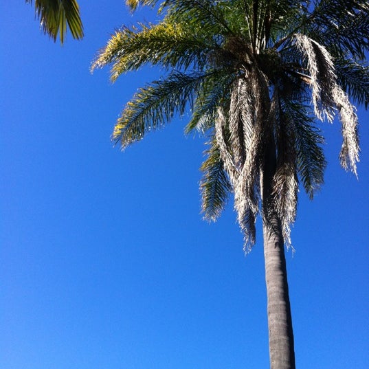 Photos at Yungaba Conference Centre - Convention Center in Kangaroo Point