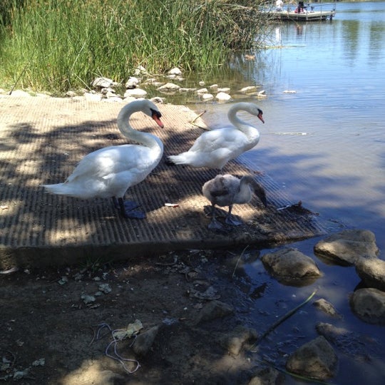 Dan Foley Park - Park in Vallejo