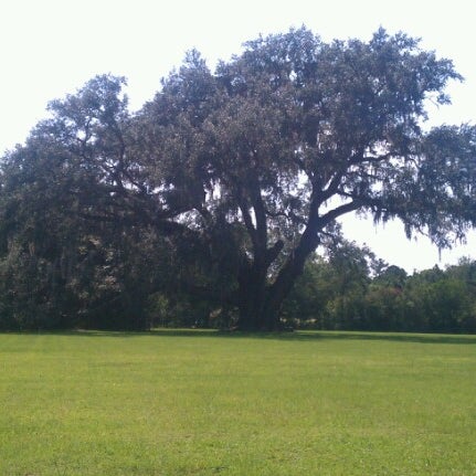 Cellon Oak Park - Gainesville, FL
